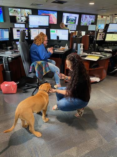 Archie at District Attorney's Detective Office | On the Beat with ...