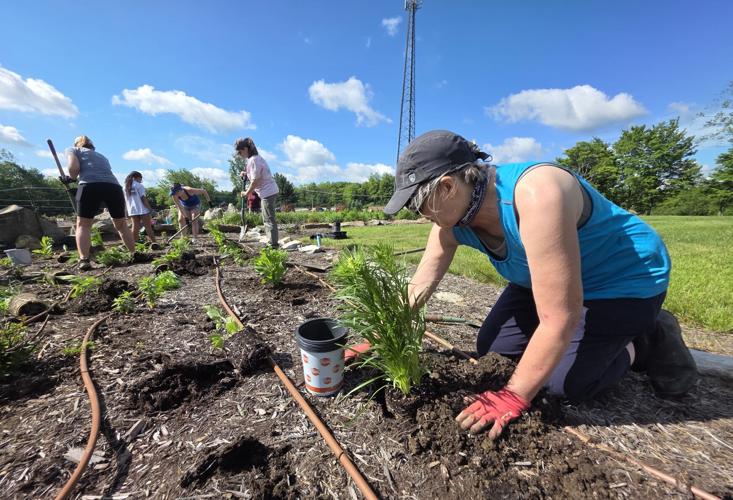 'All about sacrifice': Remember Me garden adding visitors center ...