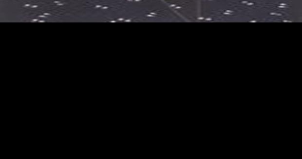 Margaret Eileen "Ms. Bunny" Sisson | Archives | tribdem.com