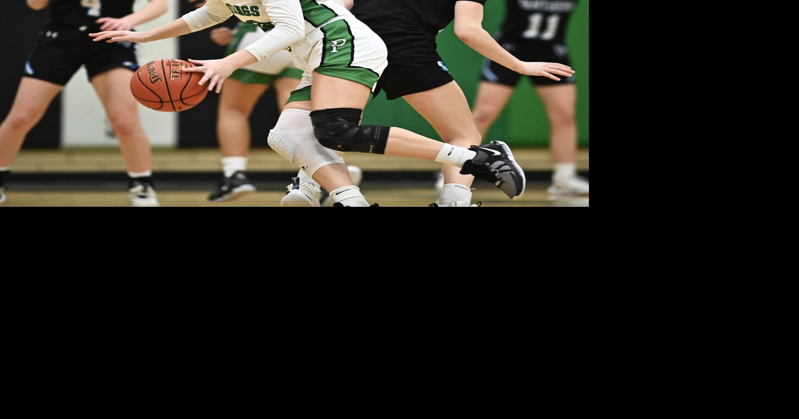 Portage girls fend off Homer-Center in District 6 Class 2A quarterfinal ...