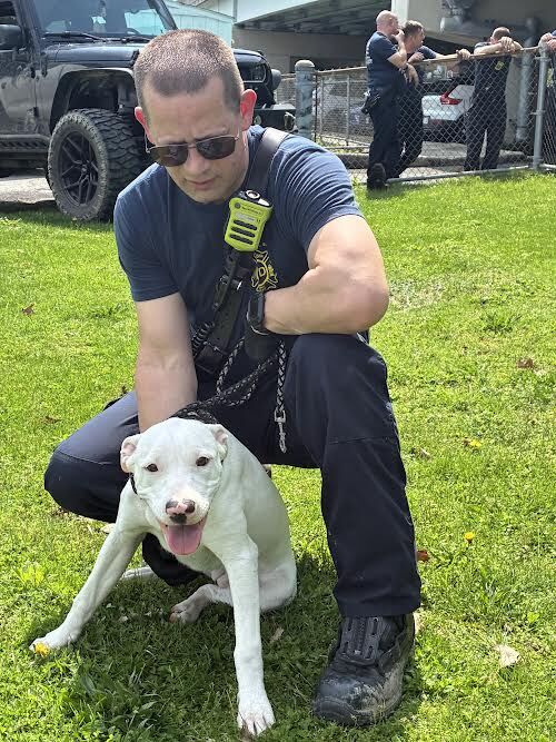 River wall rover: Dog rescued from Stonycreek channel by Johnstown ...