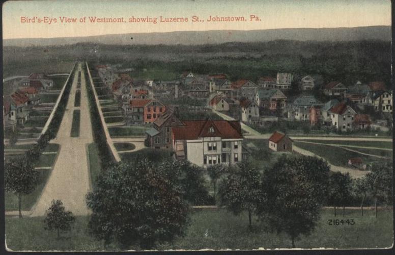 JOHNSTOWN MAGAZINE AUGUST 2023: It’s Elm-entary my dear, Johnstown ...