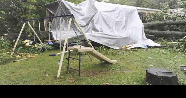 Falling tree kills girl | Local News | tribdem.com