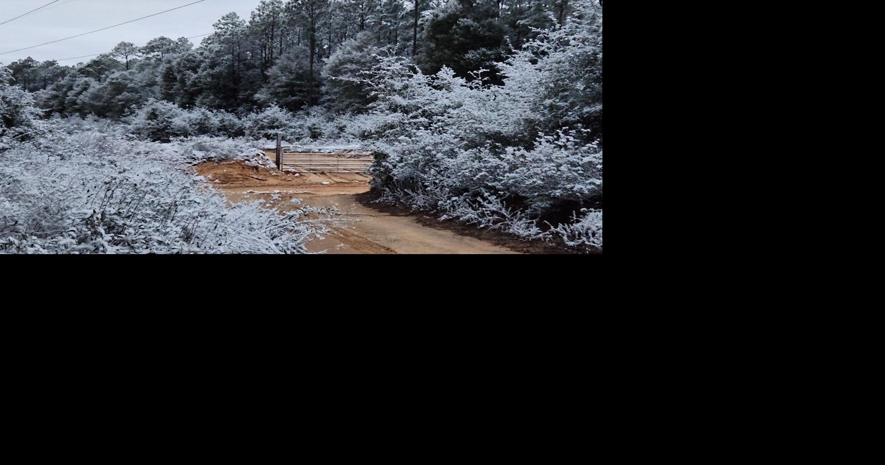 Small part of Sunshine State becomes Snowy State as Florida gets snow ...
