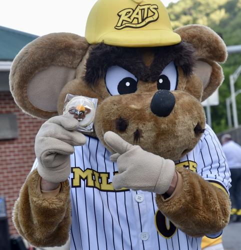 'Family-friendly fun' is local Mill Rats owners' goal | News | tribdem.com