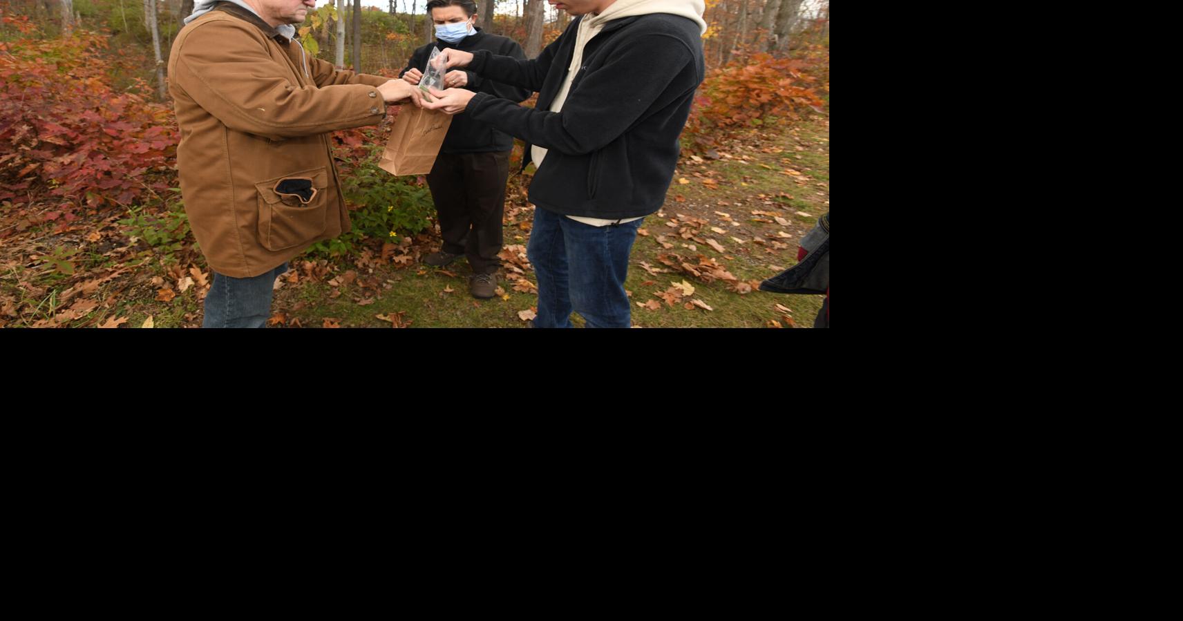 UPJ students, professors collect and sow seeds on campus | News ...