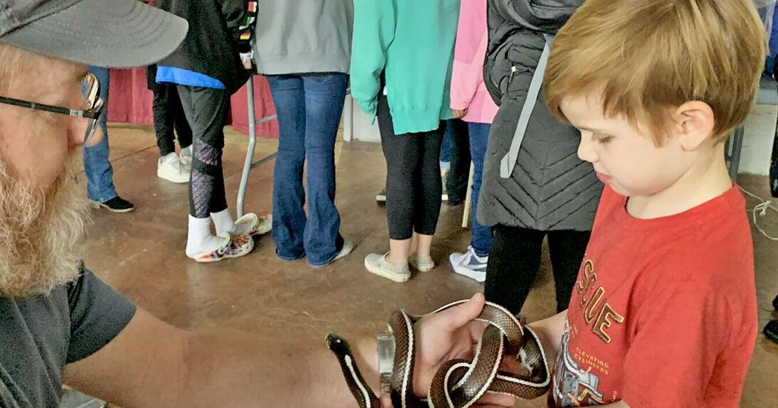 Outdoors coming indoors | Bottle Works, Penguin Court will host nature ...