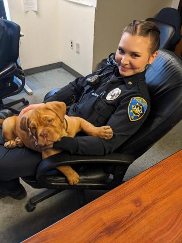 Hanging out with Archie | On the Beat with Archie | tribdem.com