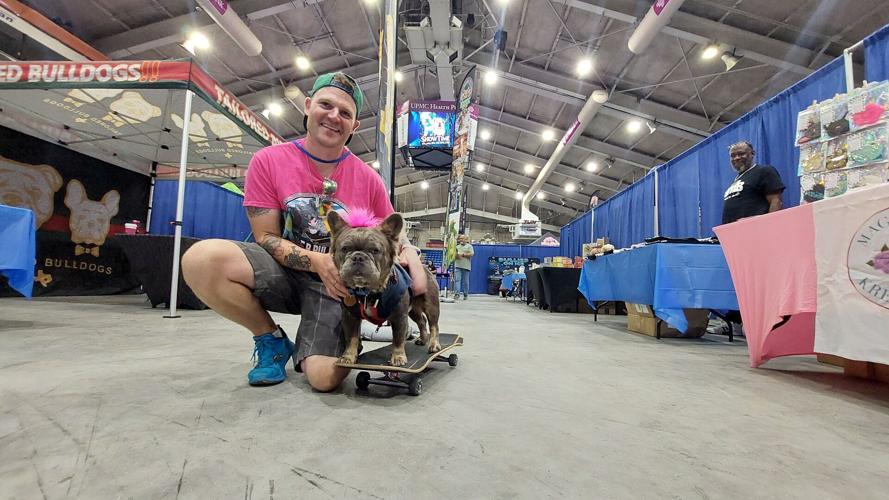Dog's day: Bullies on Ice show draws smiles, offers time for networking ...