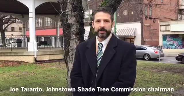 Joe Taranto - Progress | Multimedia | tribdem.com