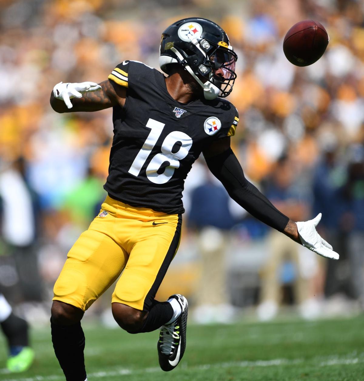 PHOTO GALLERY | Steelers v. Seahawks | Features | tribdem.com