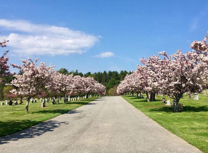 JOHNSTOWN MAGAZINE AUGUST 2022: A Walk Through Grandview Cemetery ...