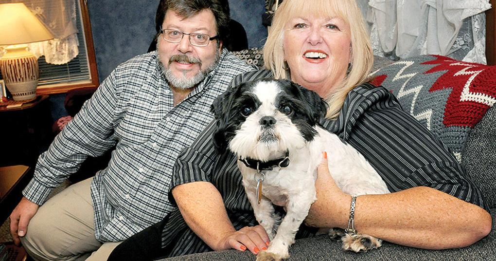 Dog’s 10-mile journey remains a mystery | News | tribdem.com