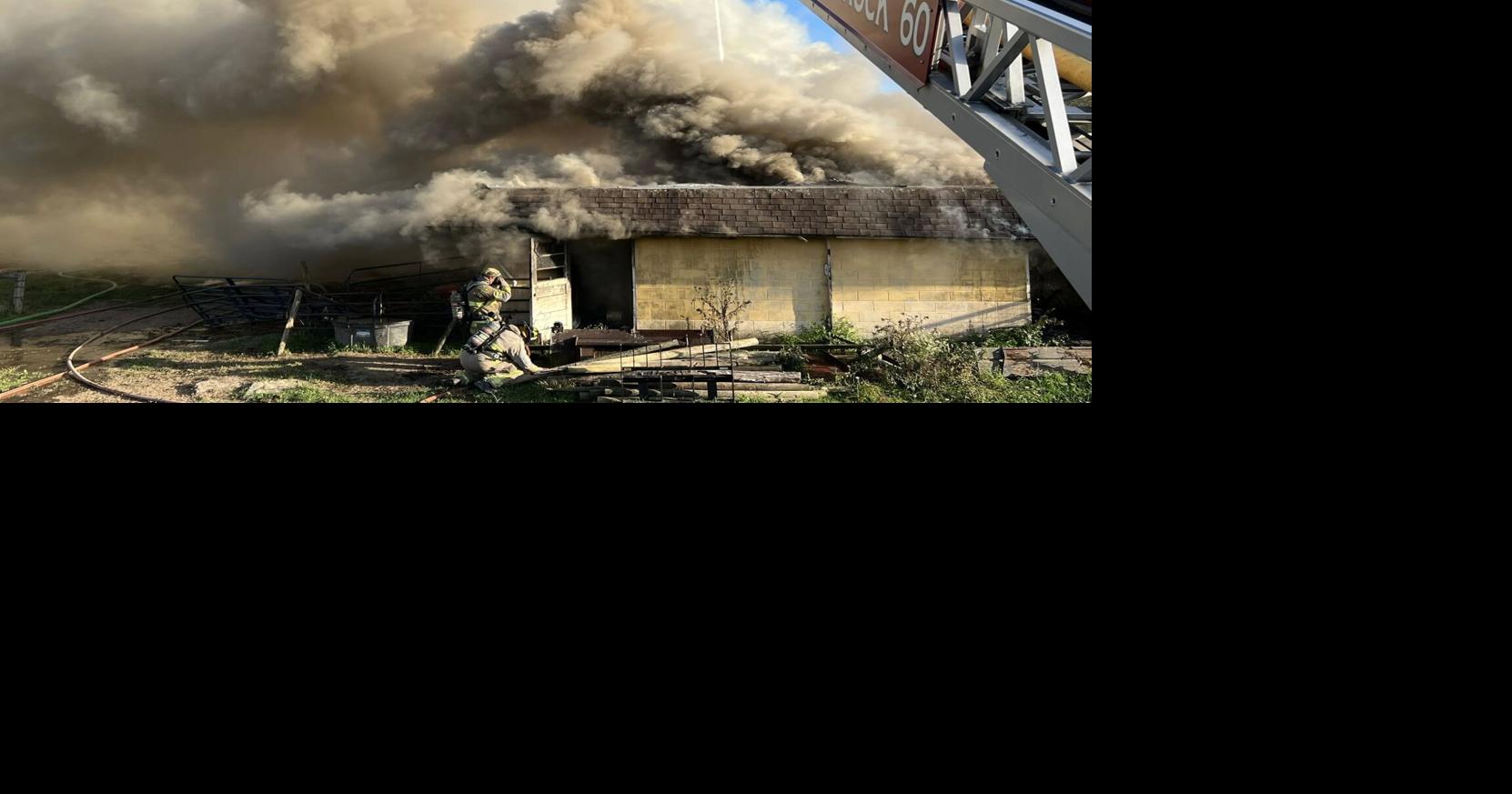 Firefighters: Cattle barn at former Forest Zoo site destroyed in blaze ...