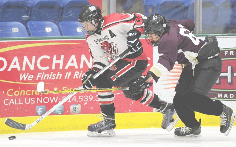 Central Cambria competing for first LMHL crown | Sports | tribdem.com
