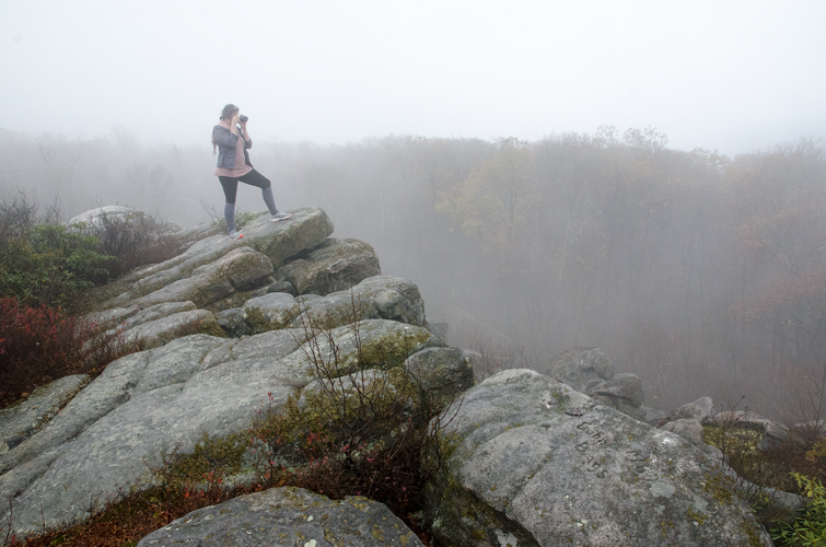 The latest in the Megan Shaffer murder case | | tribdem.com