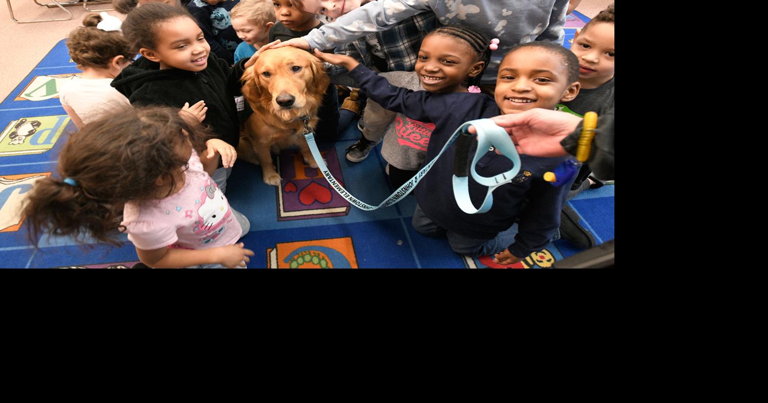 Service Dogs | Johnstown Magazine | tribdem.com