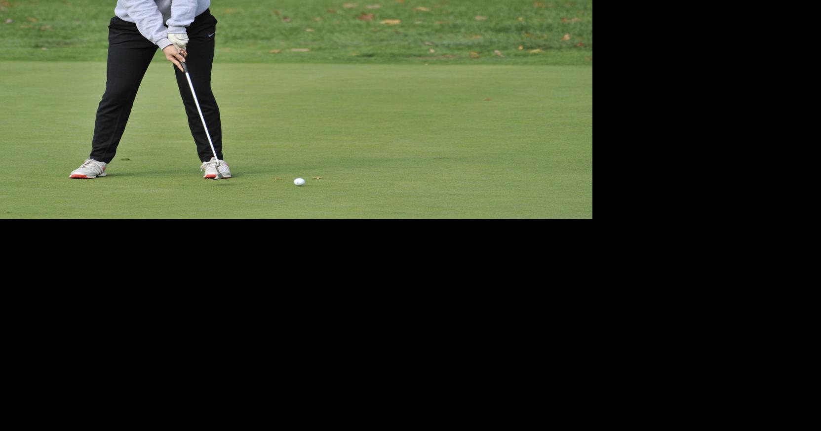 Chestnut Ridge Golf Resort up for sale | News | tribdem.com