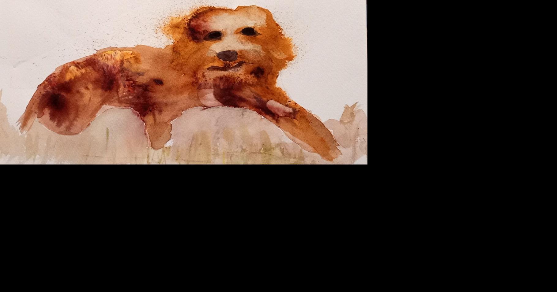 Don Rayner | | tribdem.com