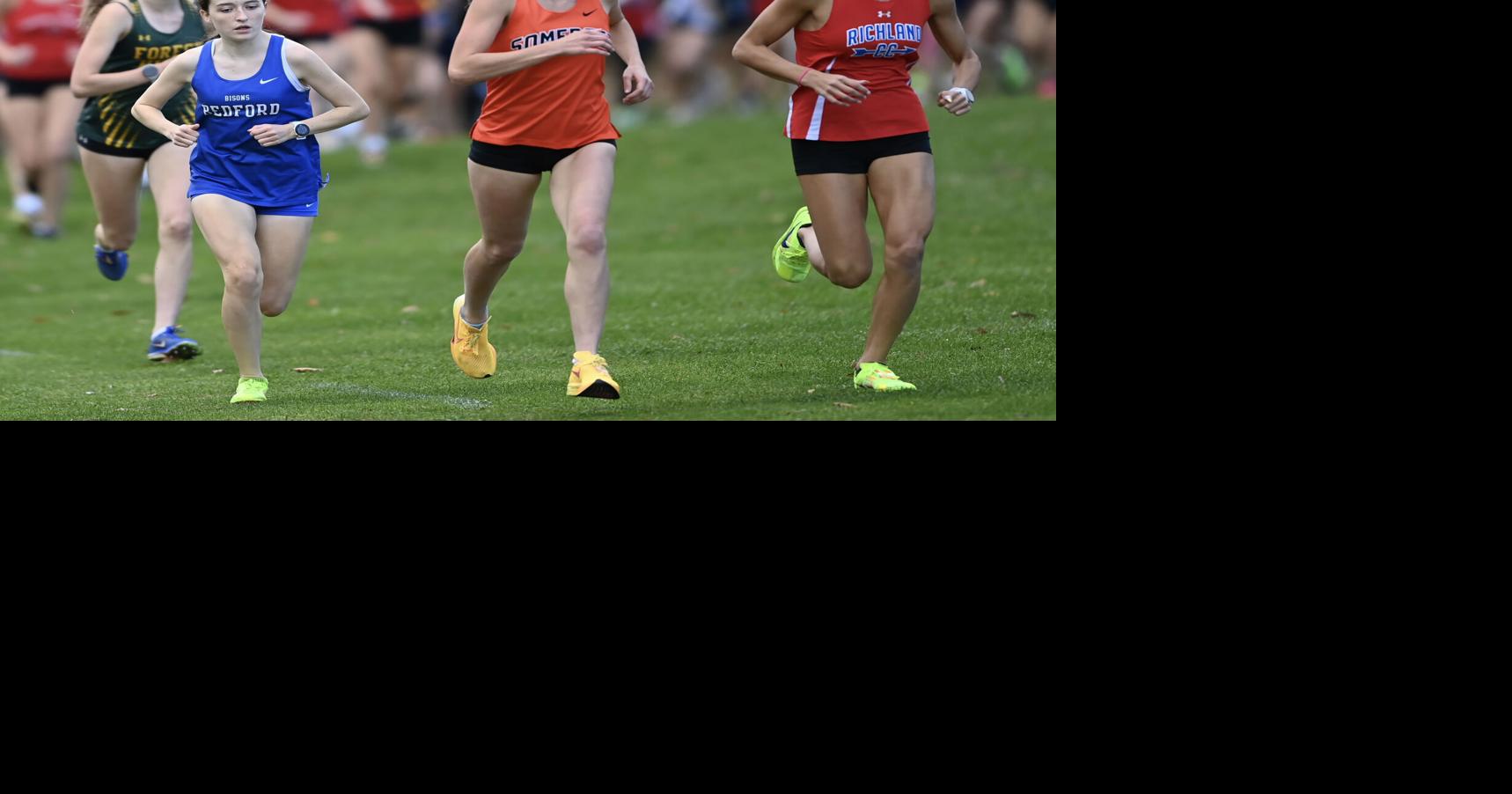 Five from region medal at PIAA cross country championships | Sports ...