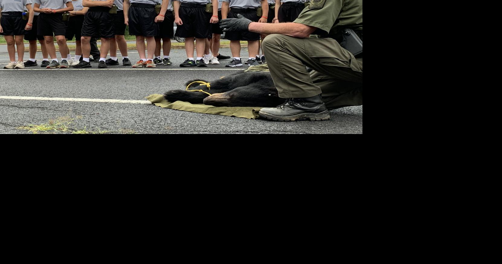 WATCH VIDEO | Camp Cadet providing structure to teens, lessons in ...