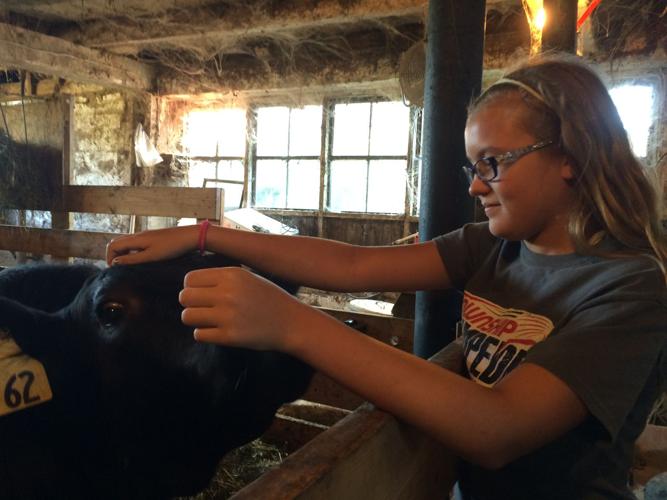 ‘Truly their projects’: 4-H participants’ work leads to Somerset County ...