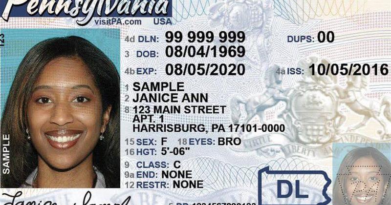 Driver's license expiration dates extended | Coronavirus | tribdem.com