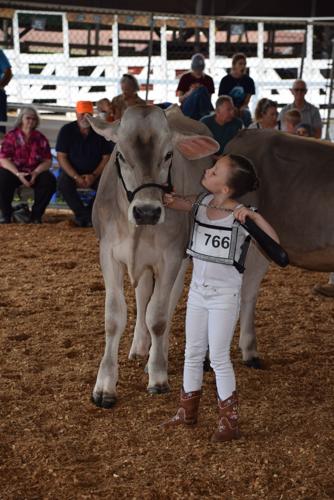 Bedford County Fair to offer family fun | News | tribdem.com