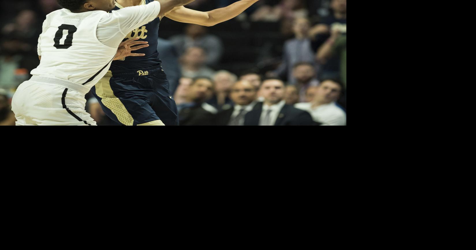 Young Panthers experiencing growing pains | Sports | tribdem.com