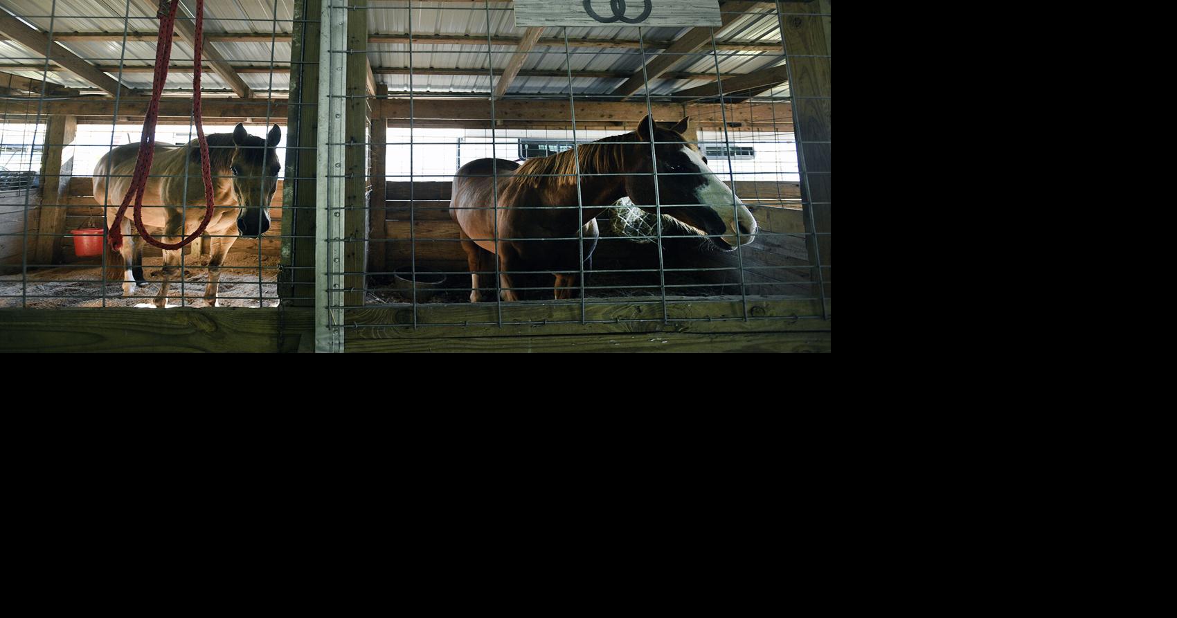 'A lot of stuff happening' as Somerset County Fair continues through ...