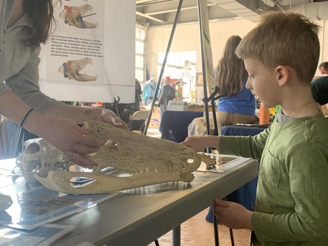 'A wholesome event': Conservation, recreation highlighted at Bottle ...