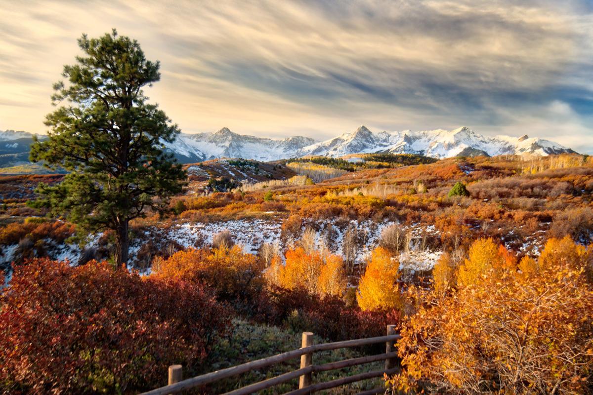 PICTURE THIS - NATURE & LANDSCAPE - FEBRUARY 5, 2018 | Gallery ...