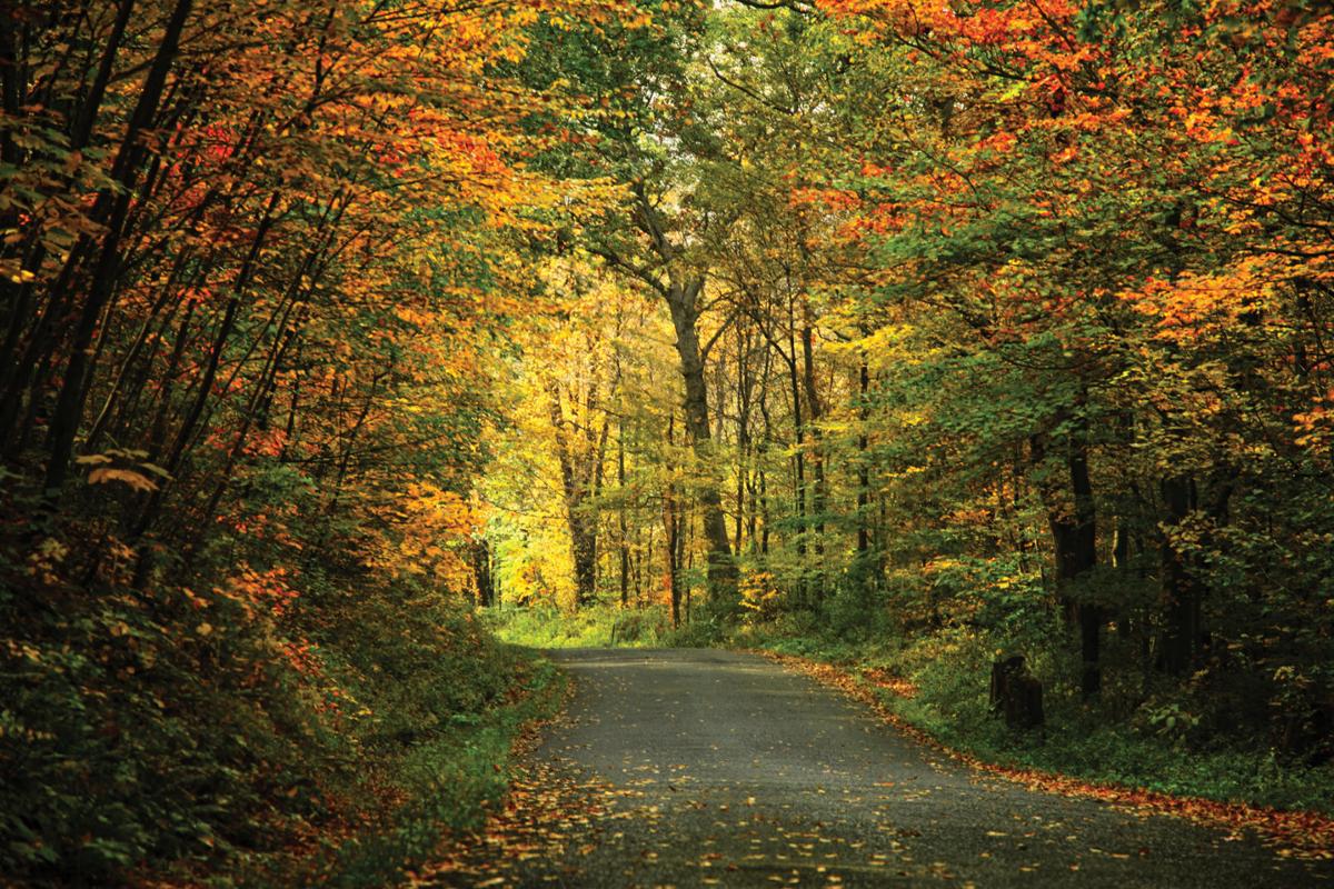 Bob Hancock Photography | Johnstown Magazine | tribdem.com