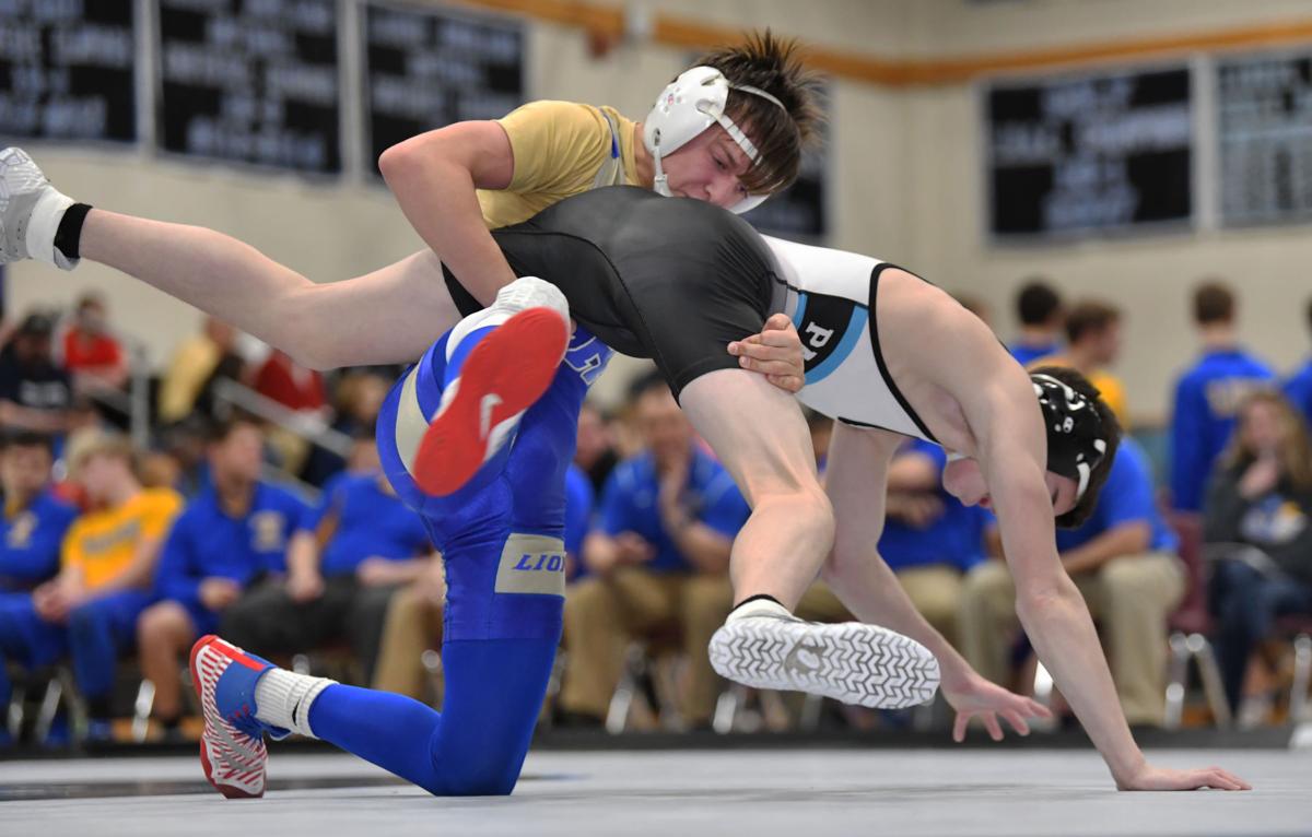 PHOTO GALLERY: Chestnut Ridge wrestlers dominate Penn Cambria, Greater ...
