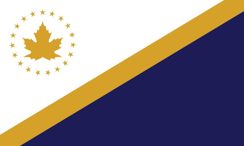 Terre Haute flag design contest starts Friday | Local News | tribstar.com