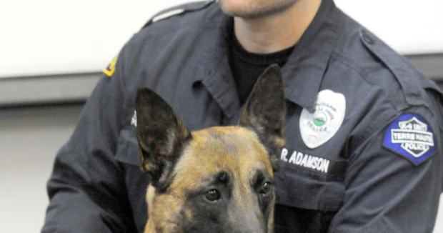 THPD's newest K-9 trained to find bombs | Local News | tribstar.com