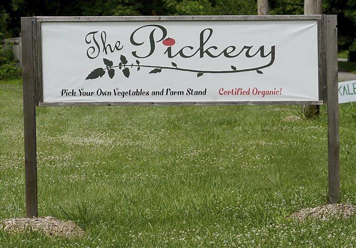 The Pickery: A direct-to-consumer, organic micro-farm | Features ...