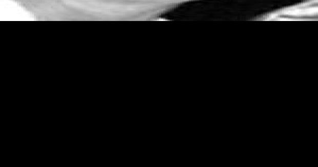 Jodie Ann Railsback | Obituaries | tribstar.com