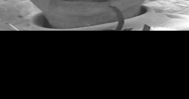 Mary Louise Doyal Callecod Solomon | Obituaries | tribstar.com