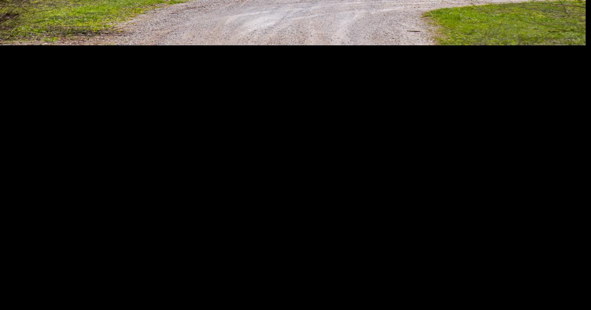 Mike Lunsford: Color the spring redbud purple | Local News | tribstar.com