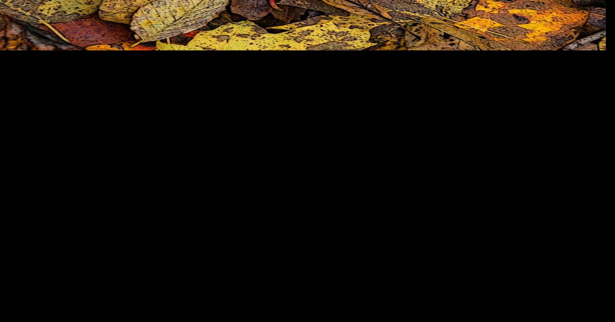 Mike Lunsford is RCAA's artist for June | Valley Life | tribstar.com