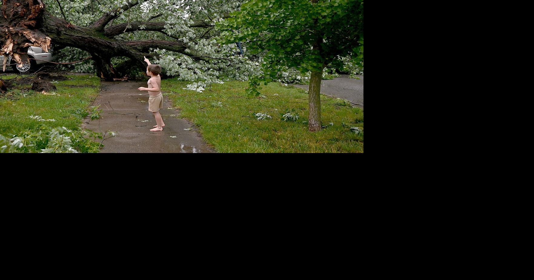 Storm causes widespread power outages, downed trees | Local News ...
