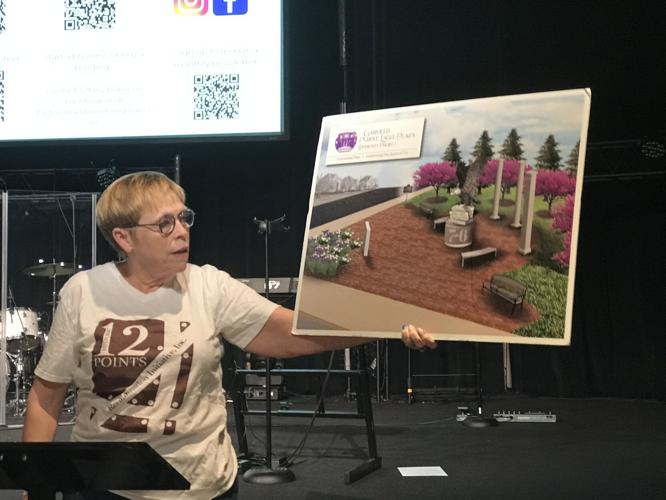 12 Points neighborhood taking flight | Local News | tribstar.com