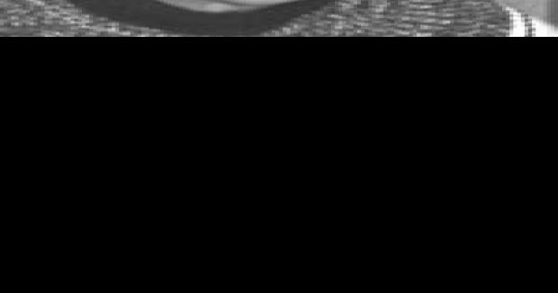 Robert William “Bob” Montgomery | Obituaries | tribstar.com