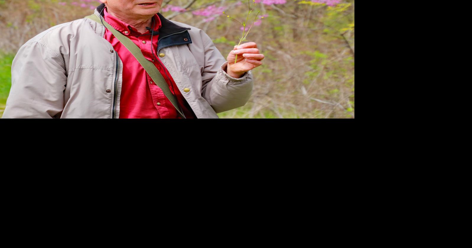 MIKE LUNSFORD: Jim Nardi and ‘the little things that run the world ...