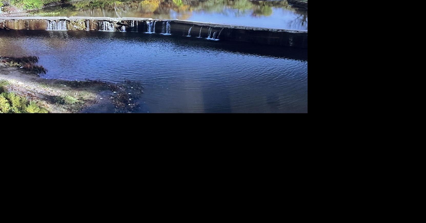 Vigo commissioners vote to remove Markle Mill dam | Local News ...