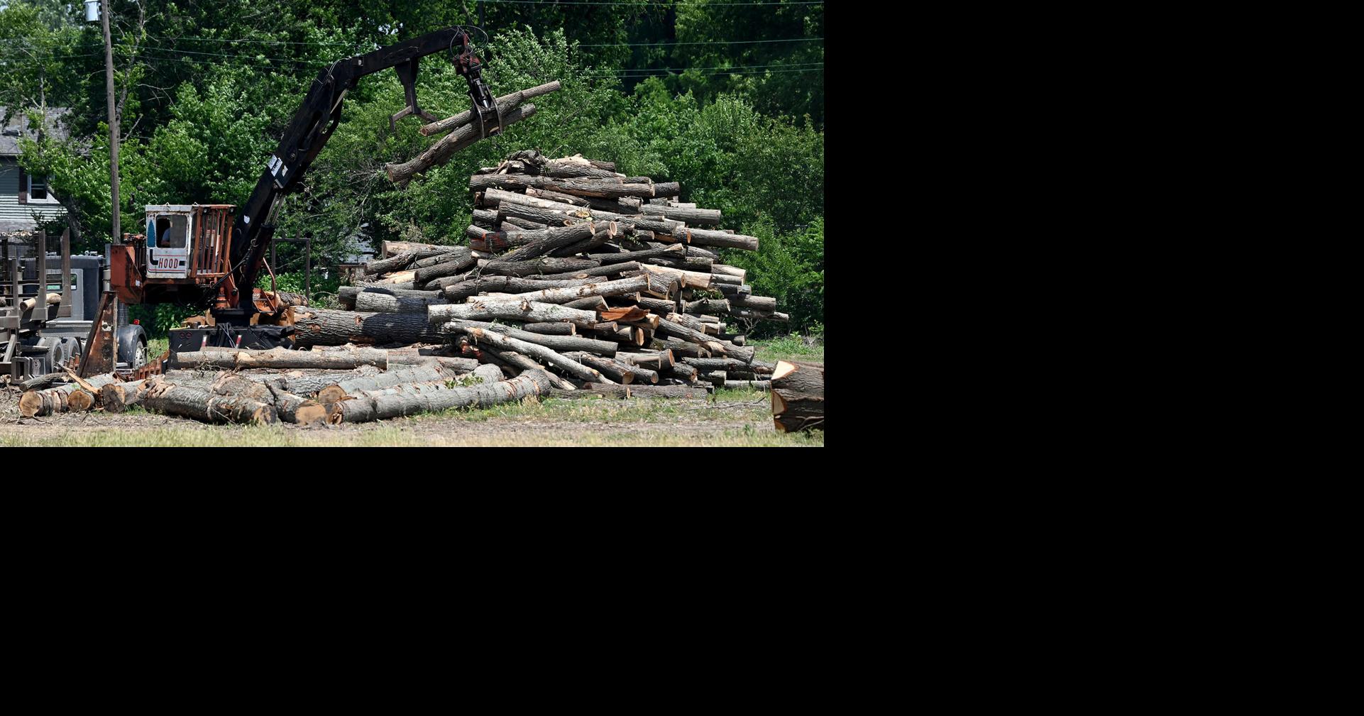 Eyes on Ohio: Tree clearing along Ohio Boulevard concerns residents ...