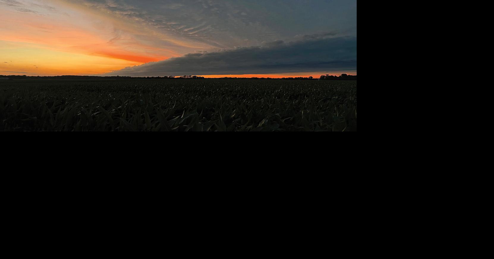 Summer's sunset: Saying goodbye to this grumpy season | Features ...