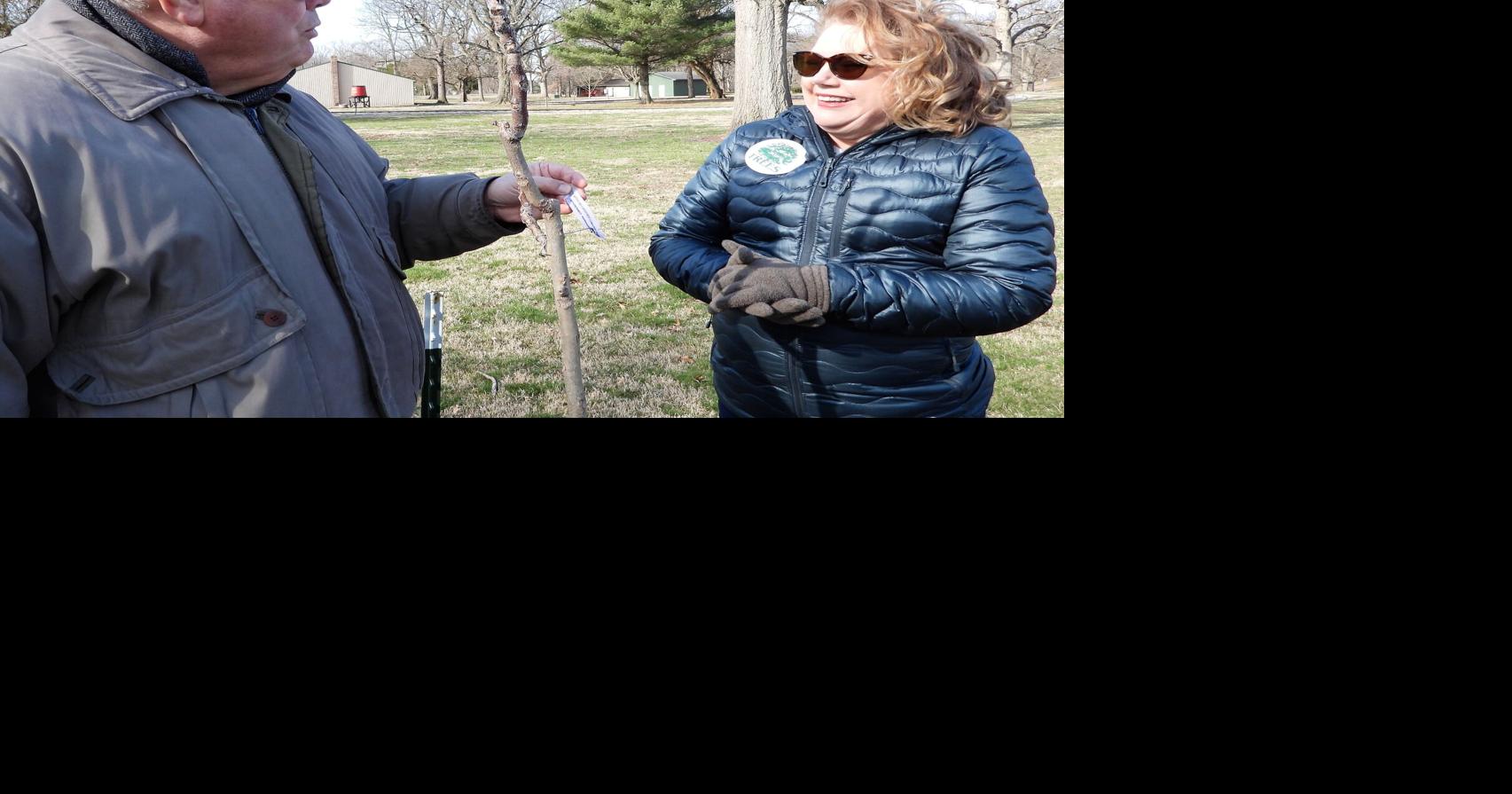 MARK BENNETT: Effort to replenish city parks' tree canopies starts with ...