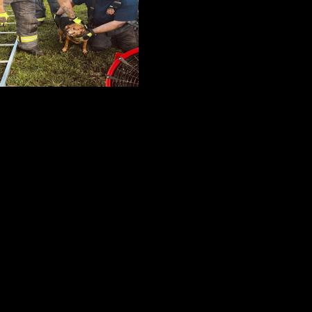 THFD firefighters rescue 'Emma the Destroyer' | Local News | tribstar.com